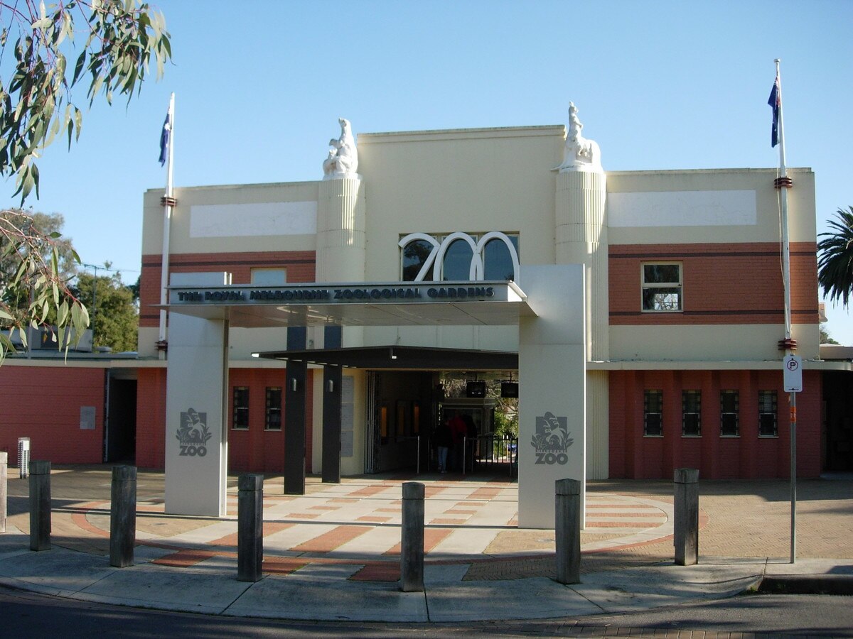 The unofficial history of Melbourne Zoo - ABC listen