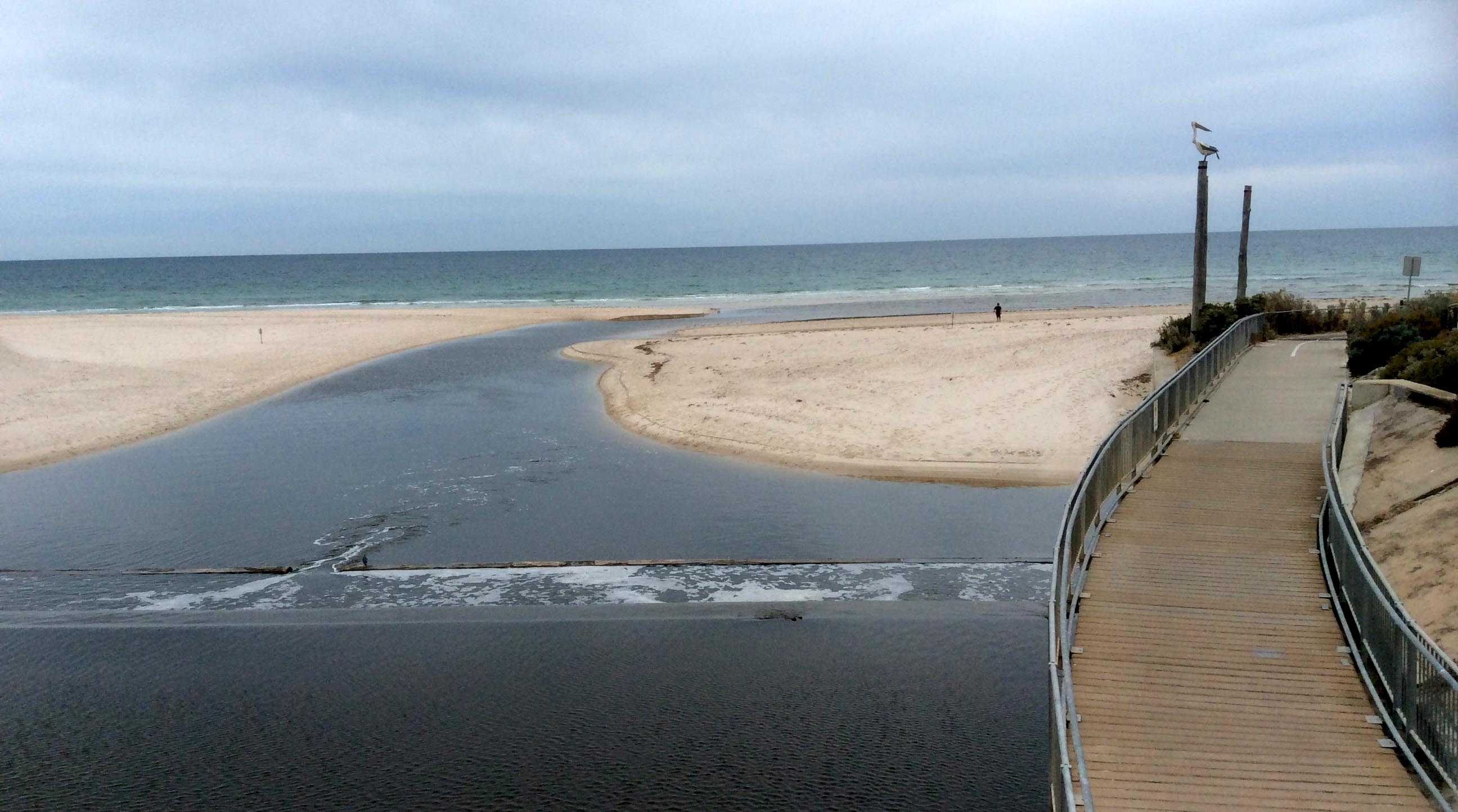 Hydrogen peroxide to be added to Torrens Lake in Adelaide to reduce ...