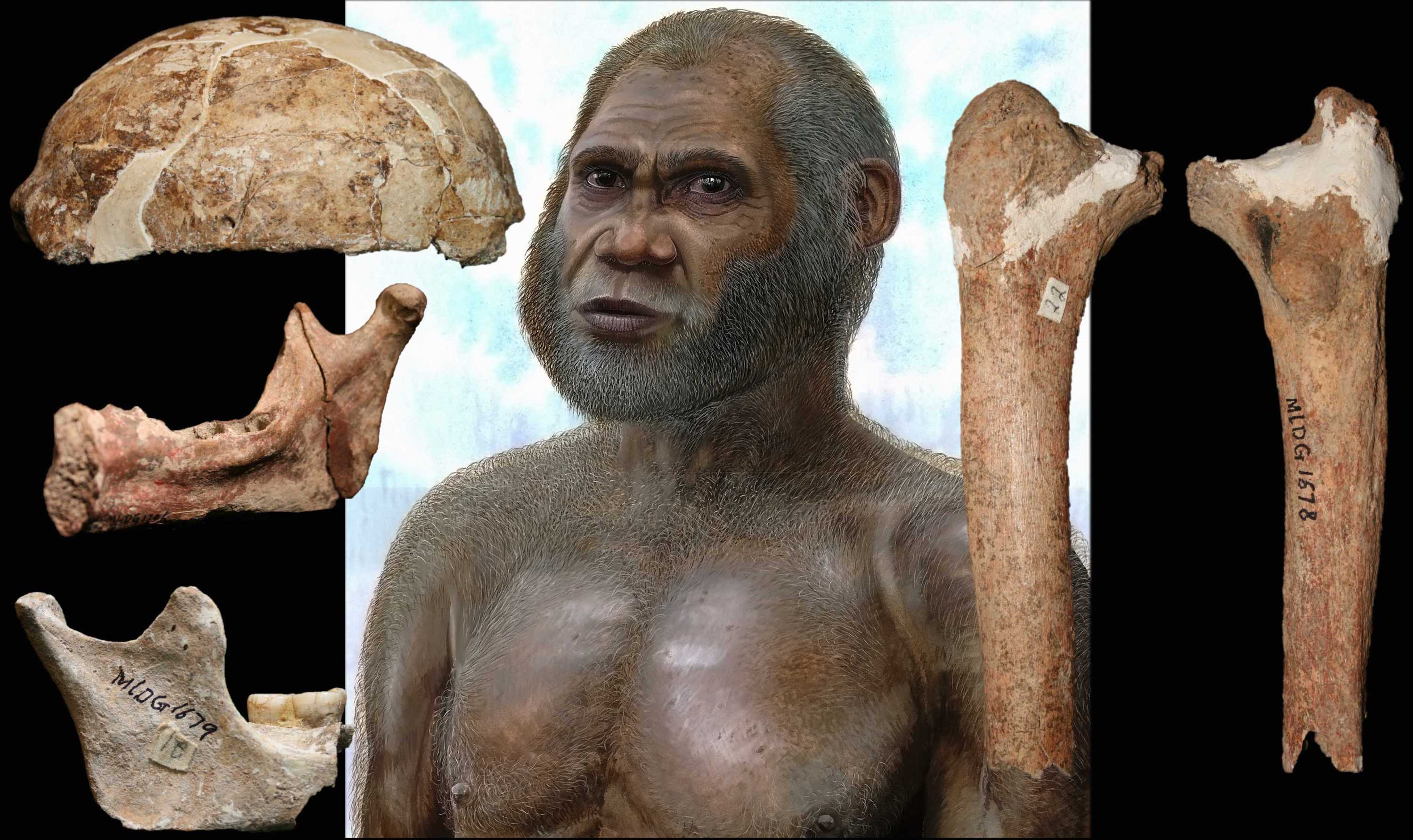 14,000-year-old thighbone renews mystery over identity of 'Red Deer ...