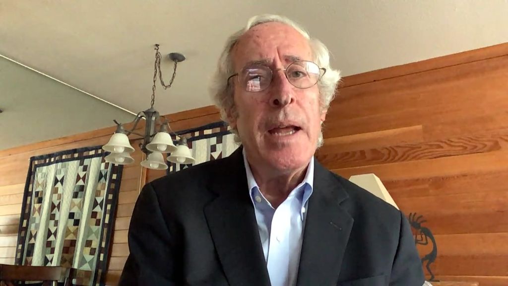 Bruce Wolpe says Biden delivered strong performance despite gaffes ...