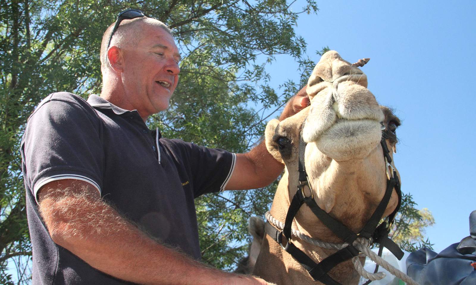 Getting into the business of riding camels - ABC News