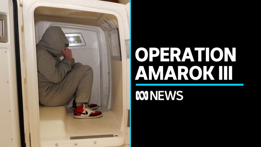 Almost 600 DV offenders arrested under Operation Amarok III - ABC News