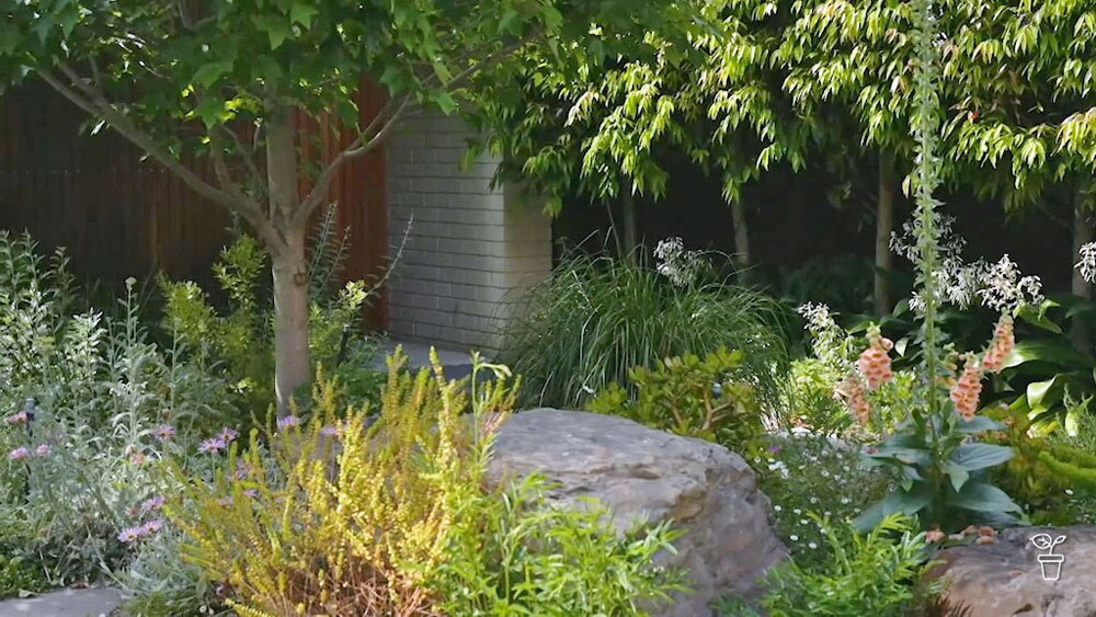 Design to Grow - Gardening Australia