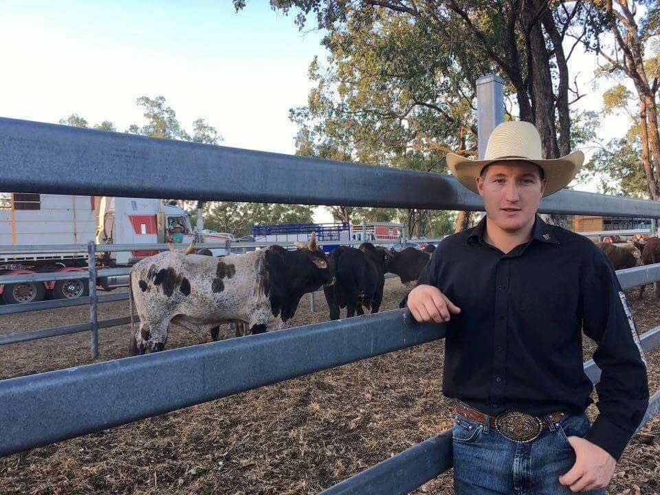 Nebo rodeo attracts thousands as bulls and riders clash - ABC News