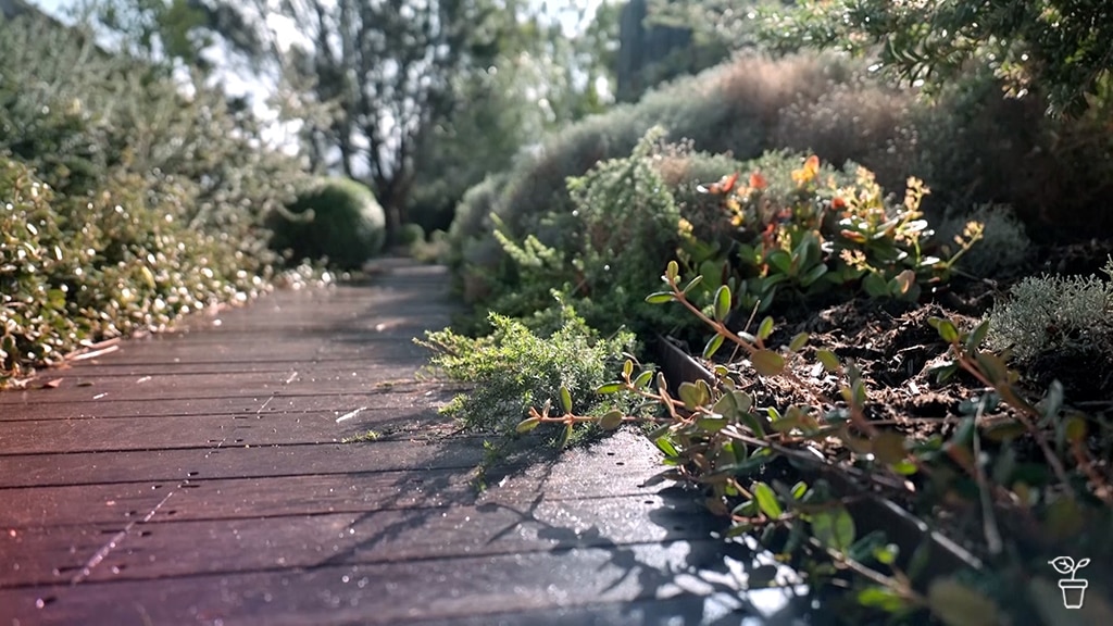 2026 | SERIES 37 | Episode 18 - Gardening Australia