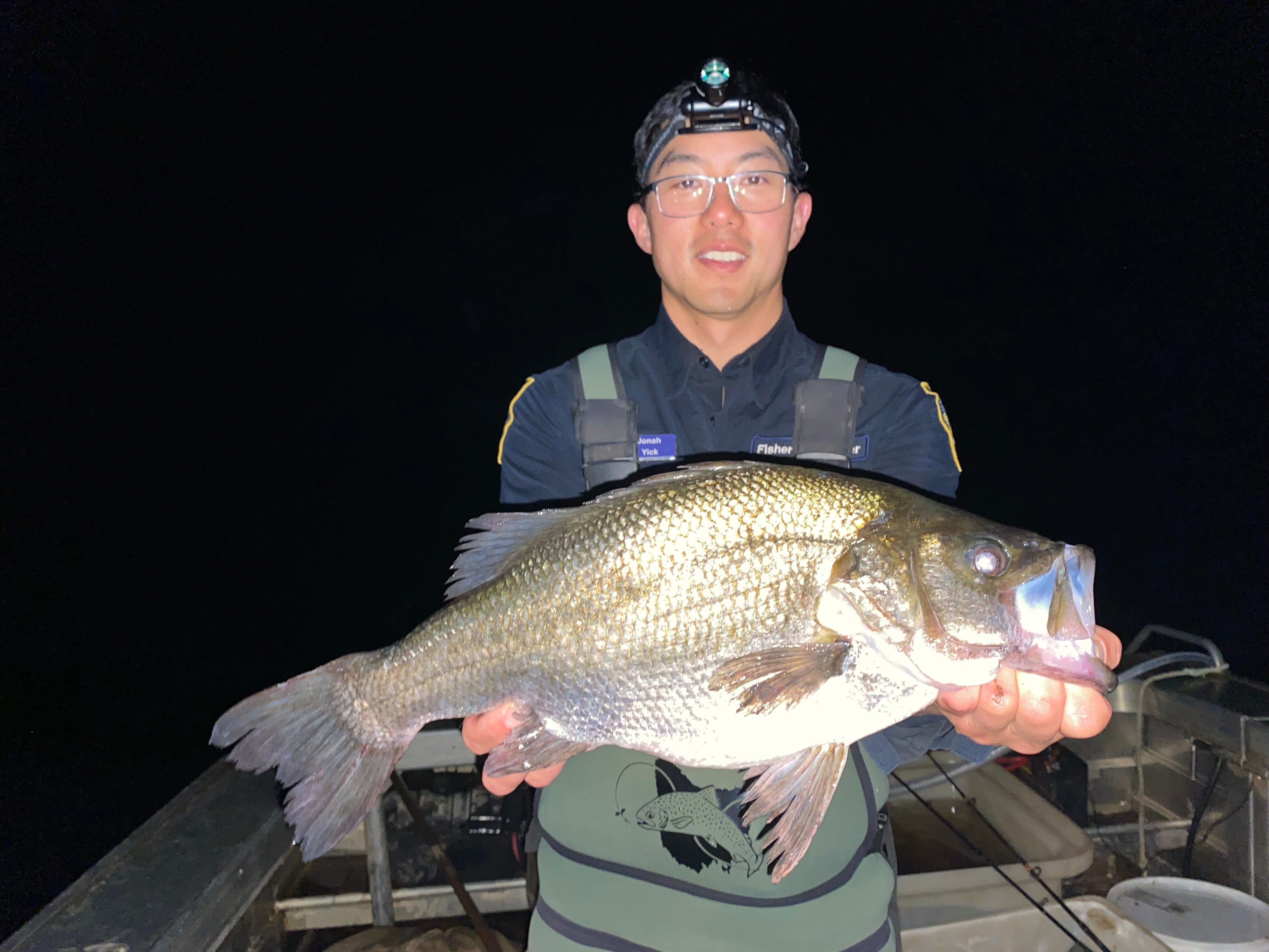 The Big Fish: Protecting Tasmania's Secret Estuary Perch Population ...
