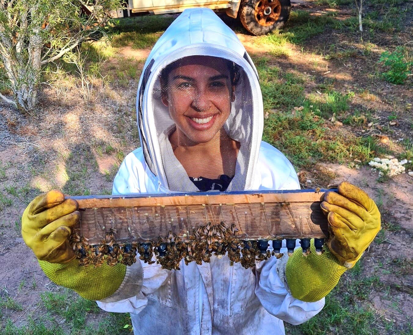 Expansion of Kimberley bush honey business offers hope to next ...