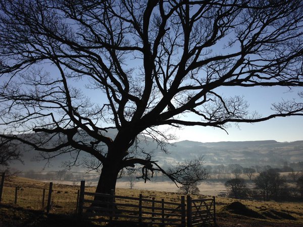 James Rebanks: How a Lake District shepherd gained a flock of followers ...