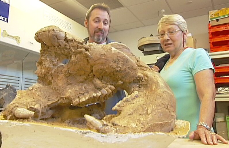 Tim Flannery launches 'most important' palaeontology lab at Adelaide's ...