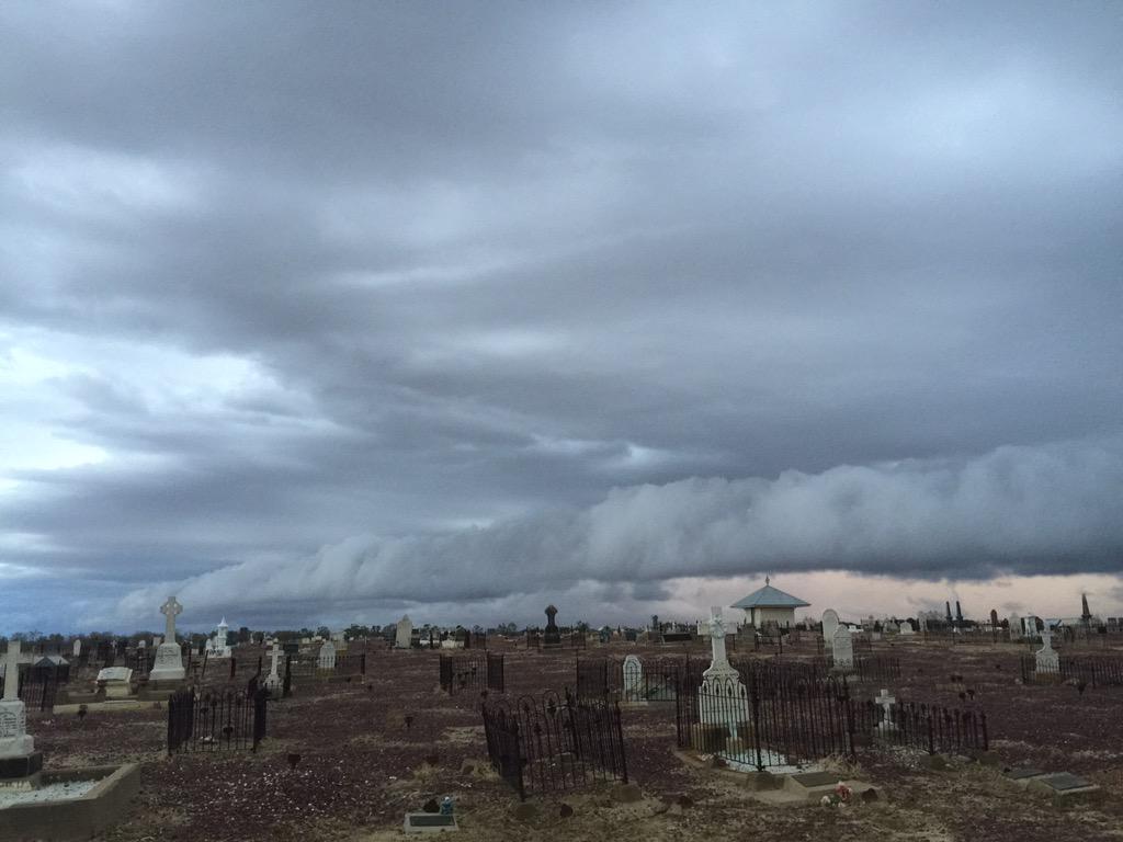 Rain a welcome relief to parched western Queensland, but graziers warn ...