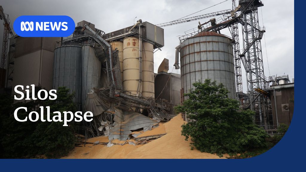 Silos collapse, spilling tonnes of wheat near Shoalhaven River - ABC News