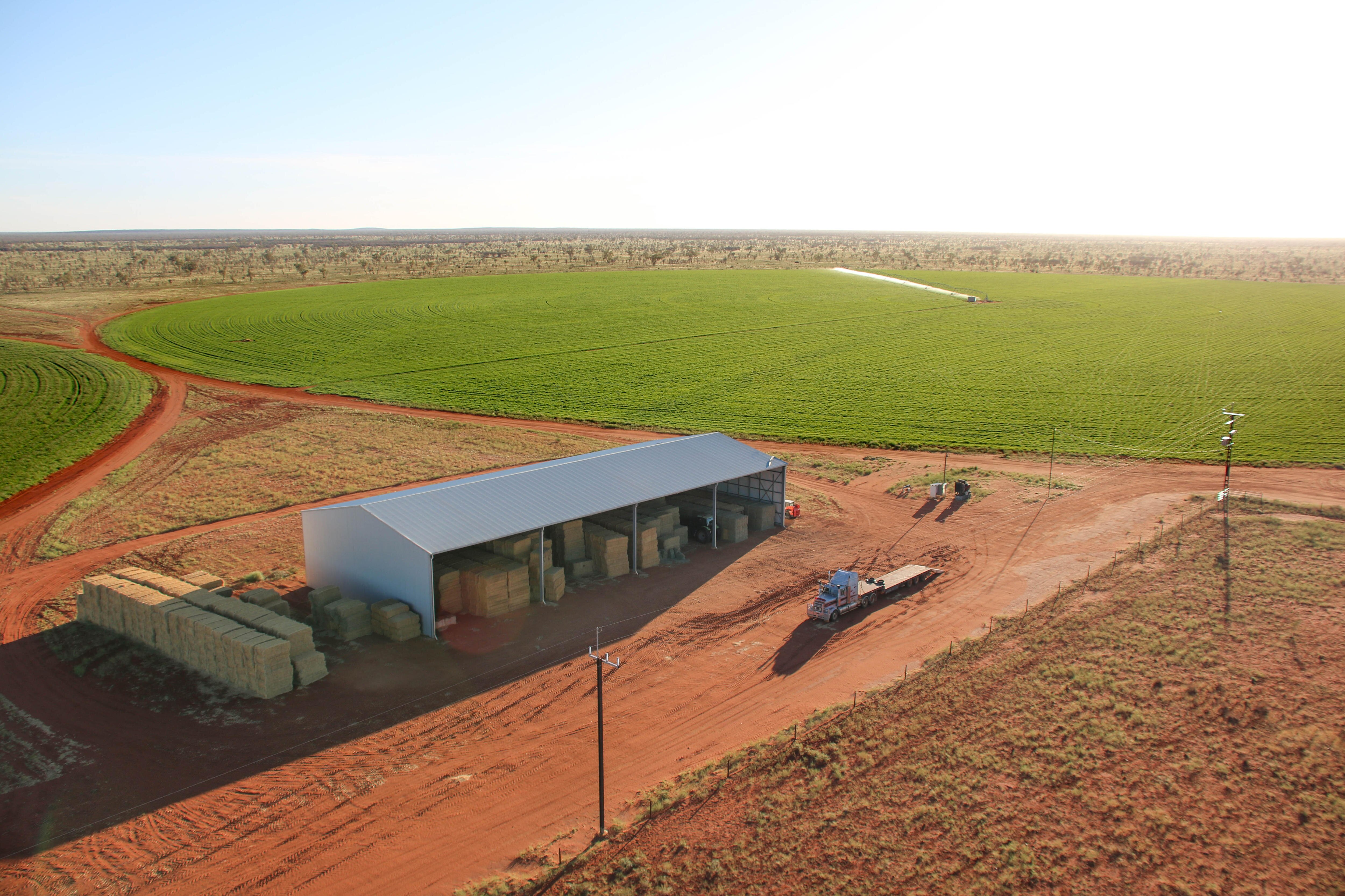Oolloo Farm in Central Australia sells to Caason Group for $6.1m - ABC News