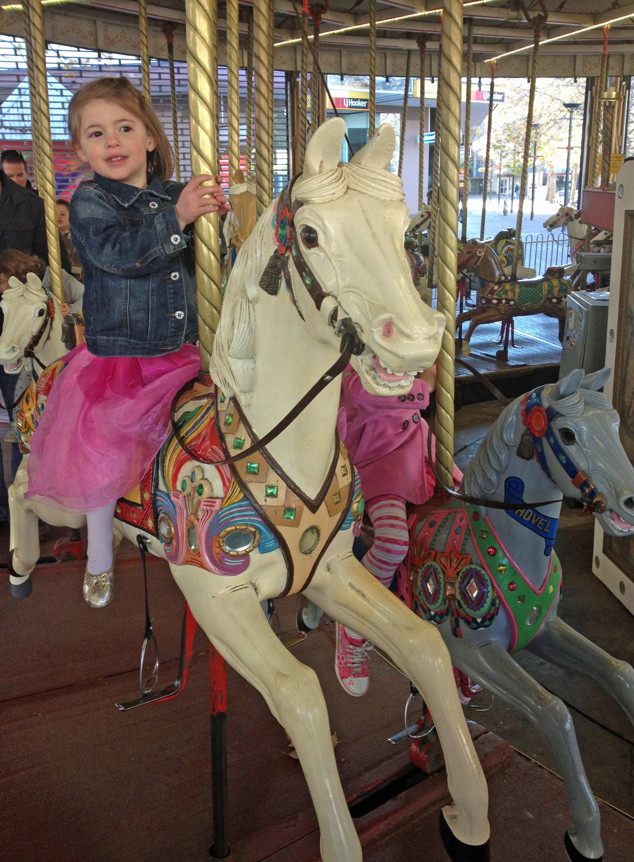 Merry-go-round 'not used enough' - ABC News