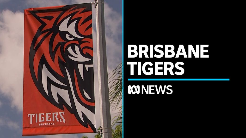 Who are the Brisbane Tigers and will they become an NRL team? - ABC News