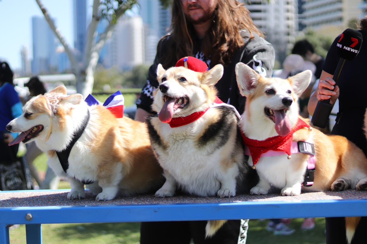 WA proclaims the new Sovereign, King Charles III as Perth pays touching ...