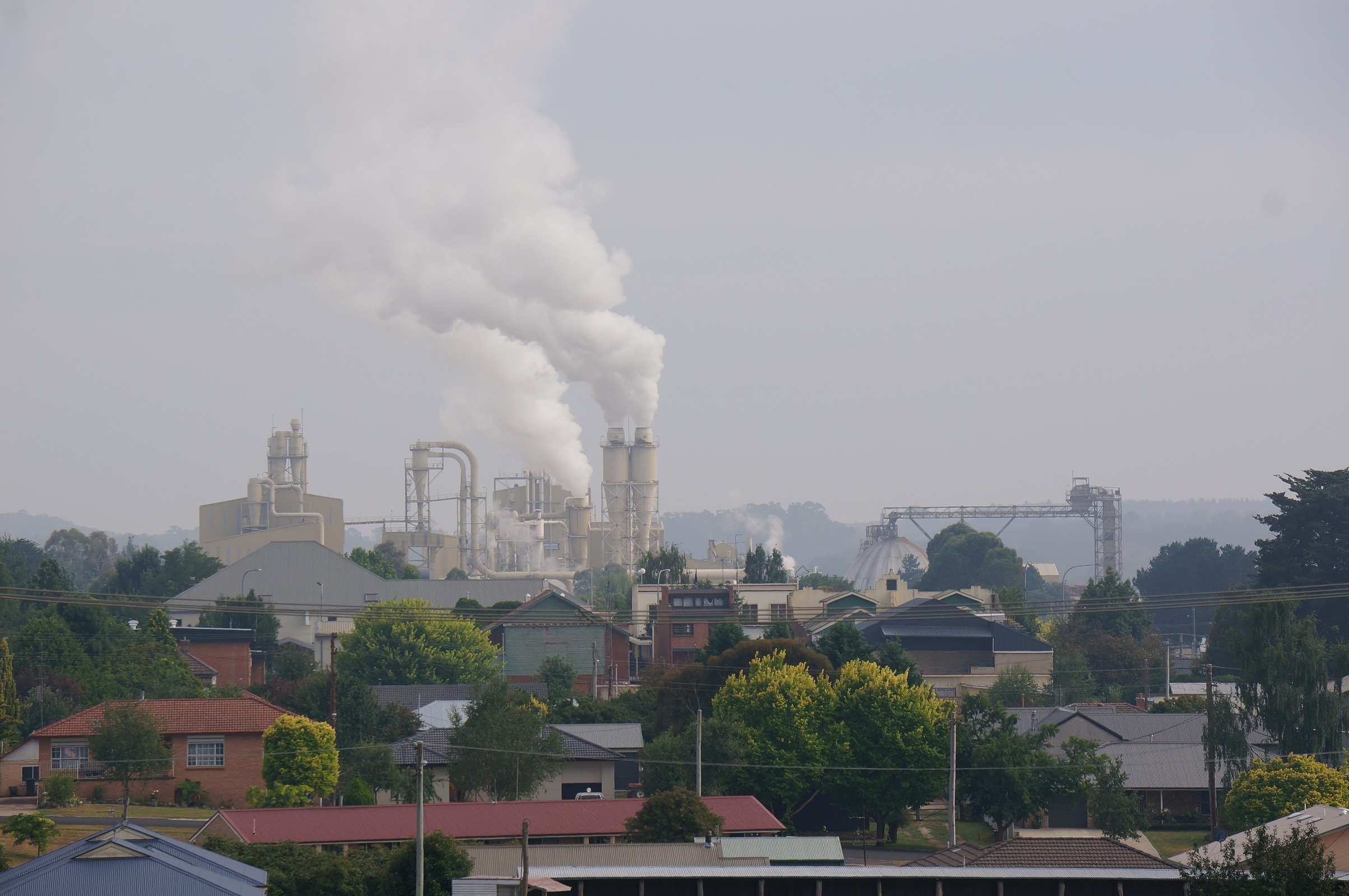 NSW timber processing plant expansion to create hundreds of jobs in ...