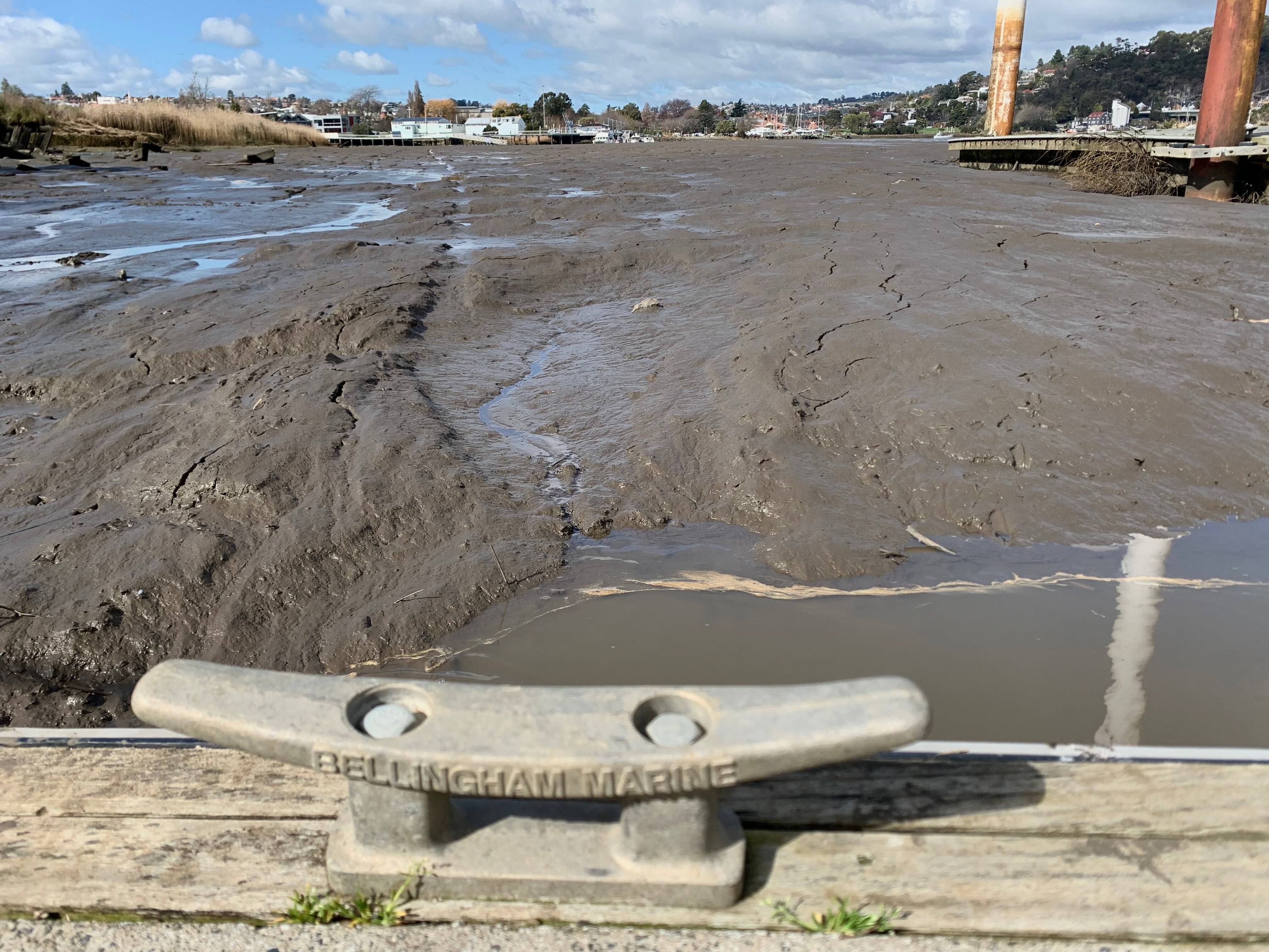 Tasmania's Tamar River can look like a 'sloppy, muddy mess' and locals ...