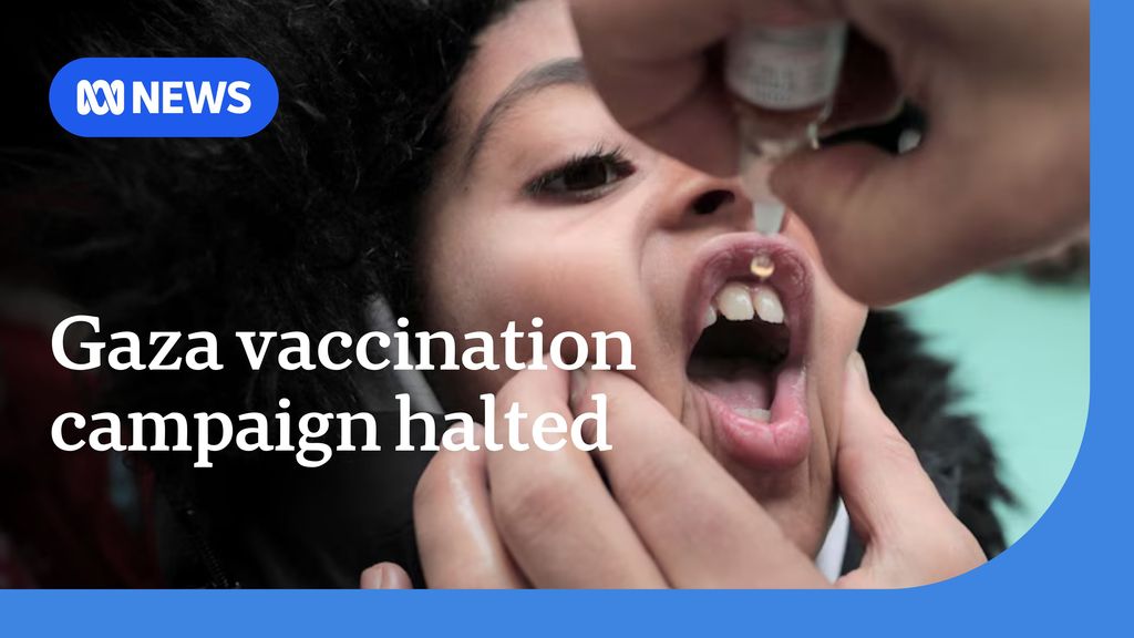 Polio vaccination campaign for Gaza's children halted due to Israeli ...