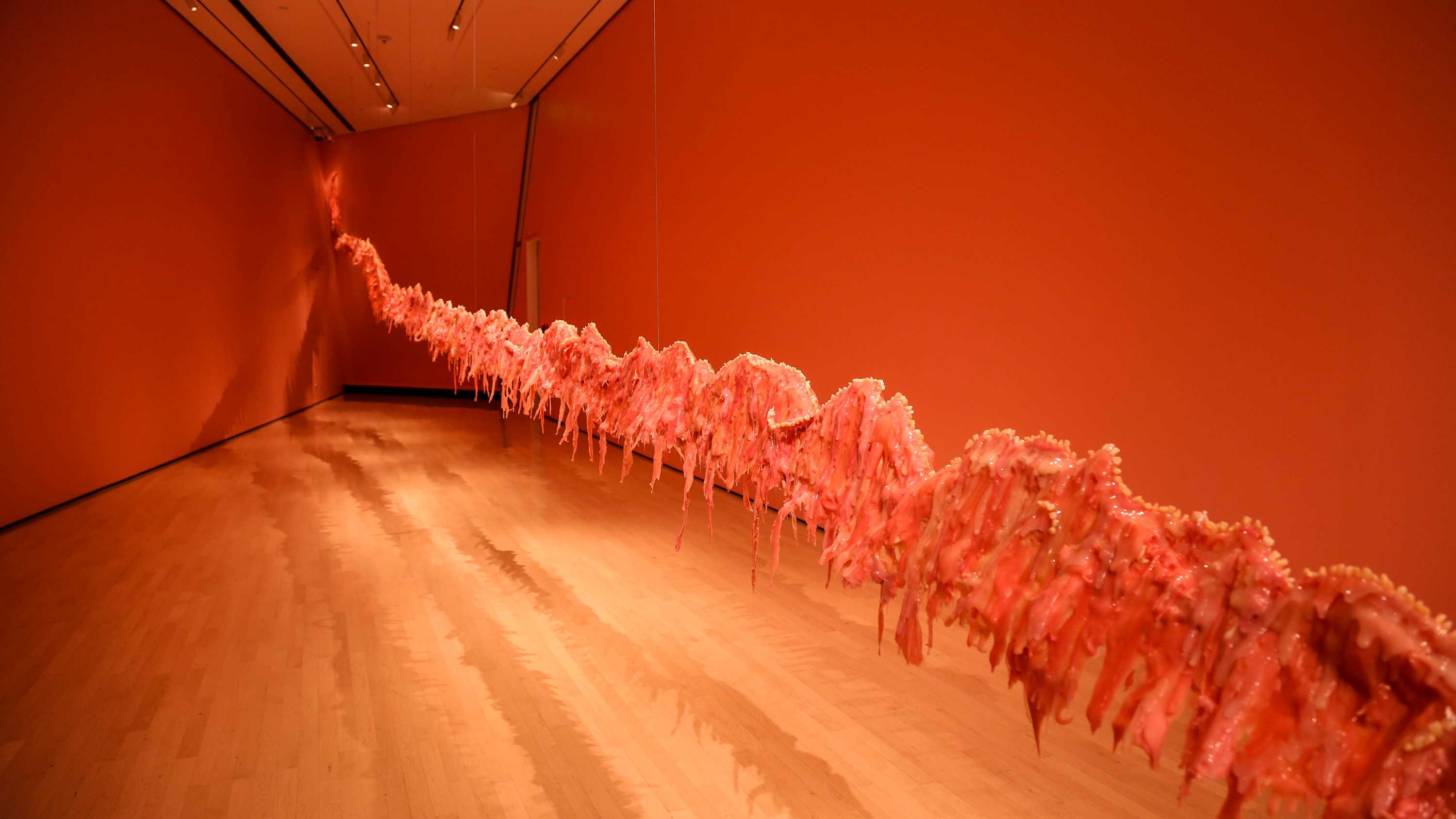 Mithu Sen: Blood, hair and history - ABC Radio National