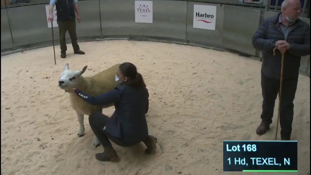 Meatco | Meat Supplier | Wholesale | Retail | Brisbane | Queensland ...