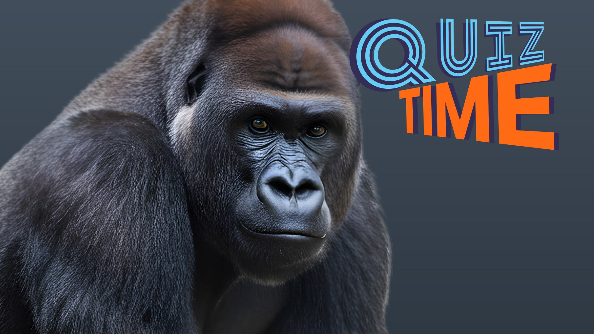 BTN Quiz Ep 11, 2026 - Behind The News