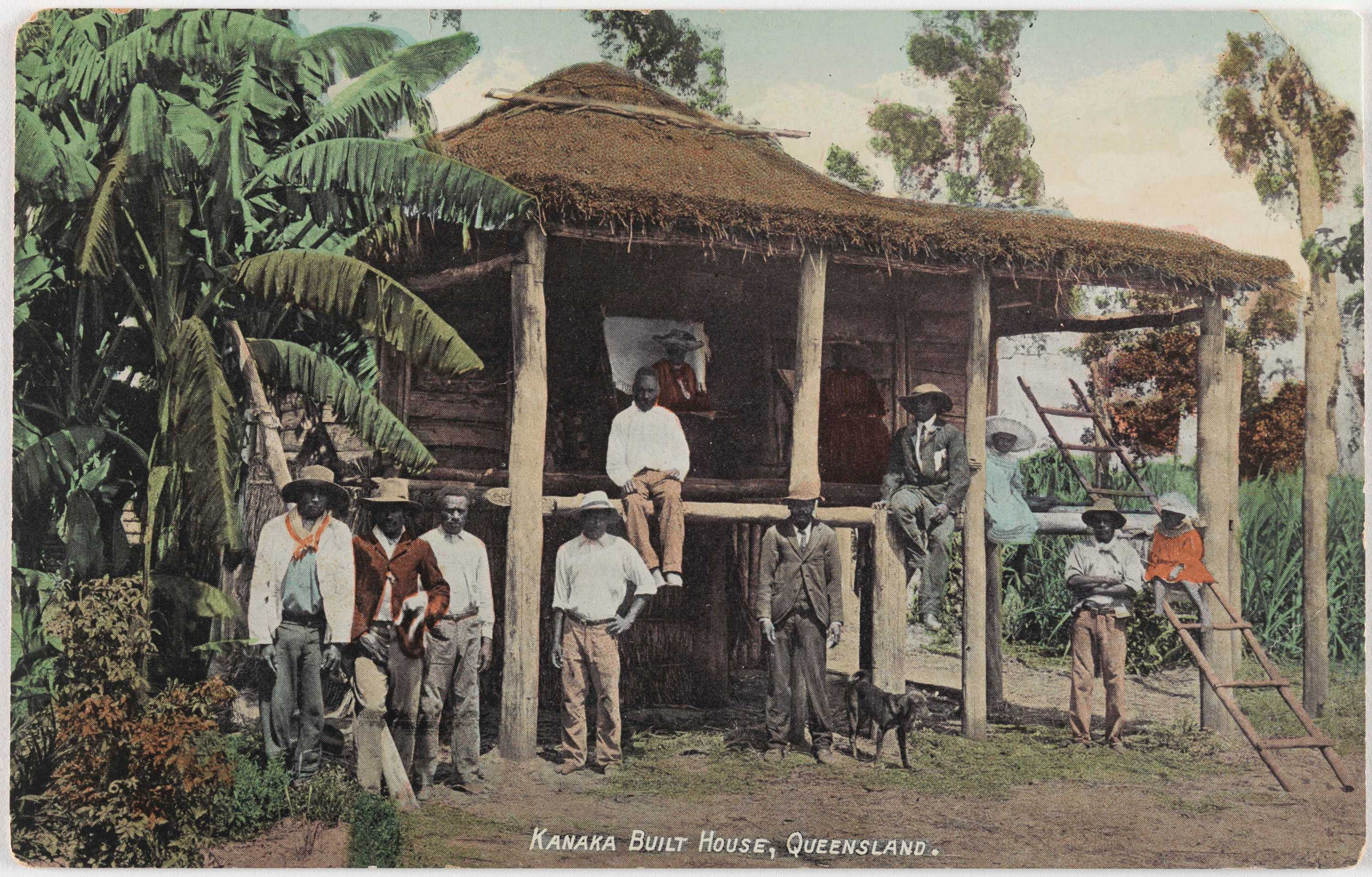 Cane: the complex story of South Sea Islander history and culture - ABC ...