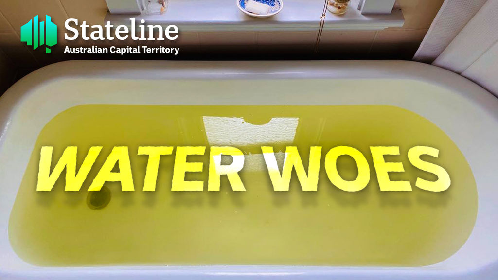 Stateline : ABC iview