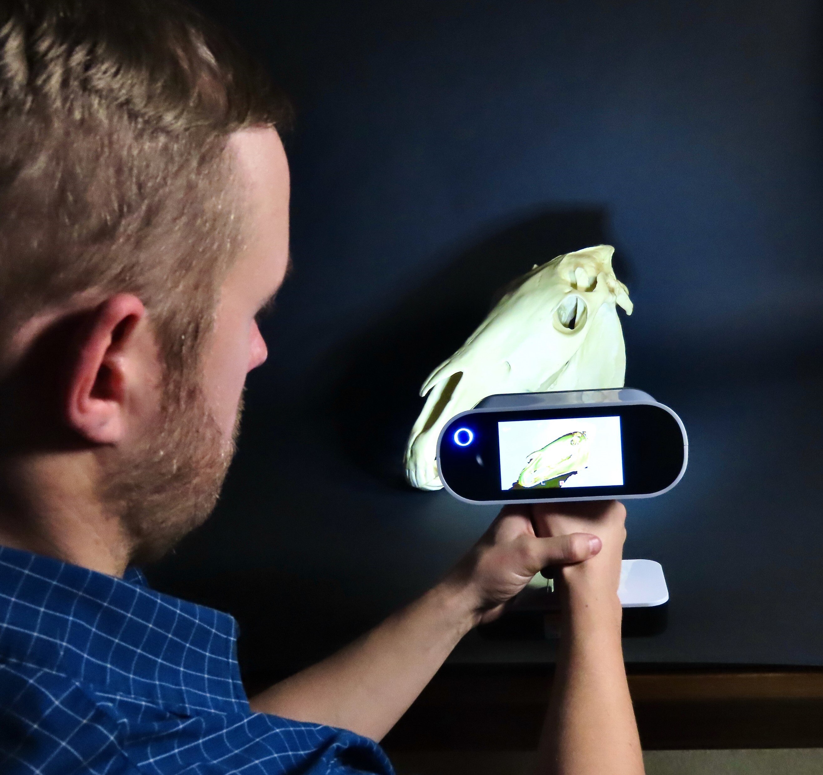 How the horse exposed a mistake in the history books but confirmed what ...