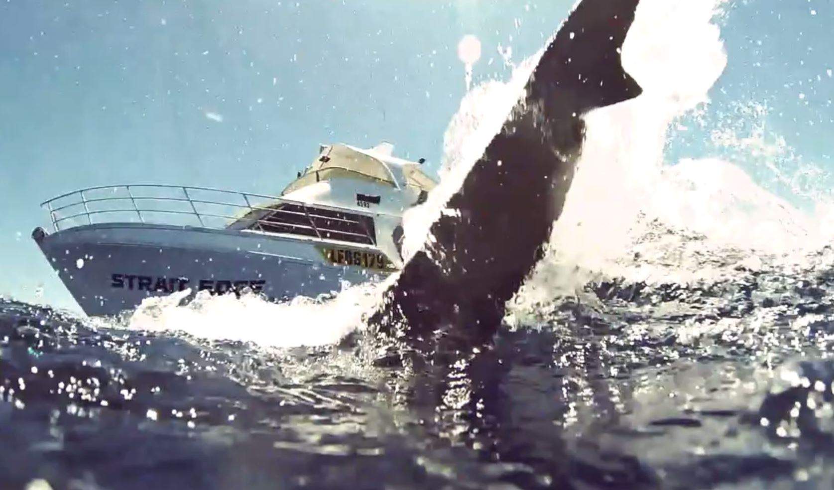 WA fisherman has tale to tell after drone crashes into ocean, captures ...