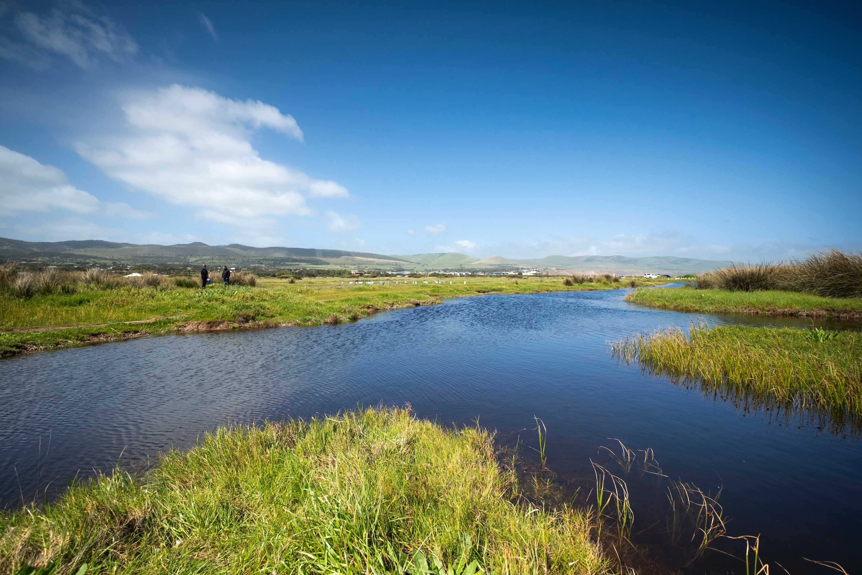 Volunteers rejuvenating culturally significant Aldinga Washpool Lagoon ...