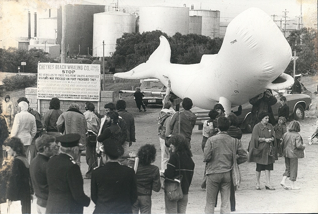 The last whale - ABC Radio National