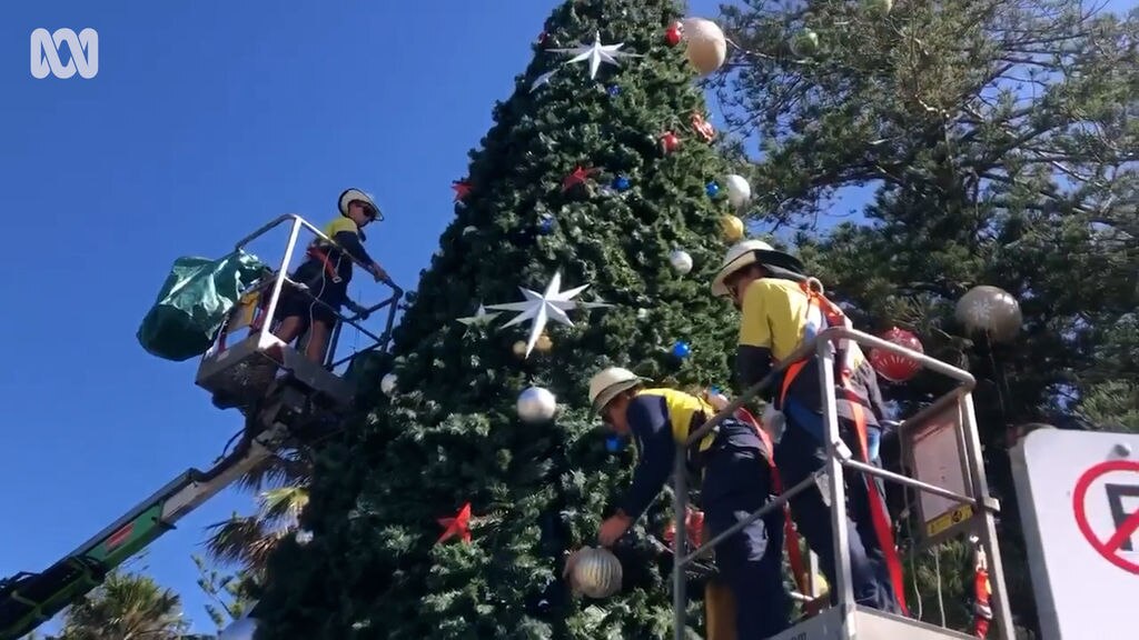 Christmas tree 'fail' laughed off by town mayor, replaced with fake ...