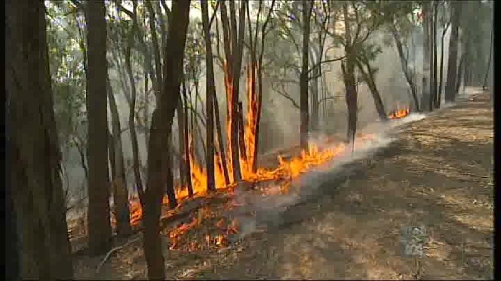Catastrophic fire conditions - ABC News