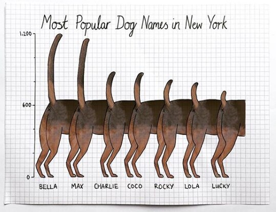 Mona Chalabi on turning spreadsheets into powerful illustrations - ABC ...