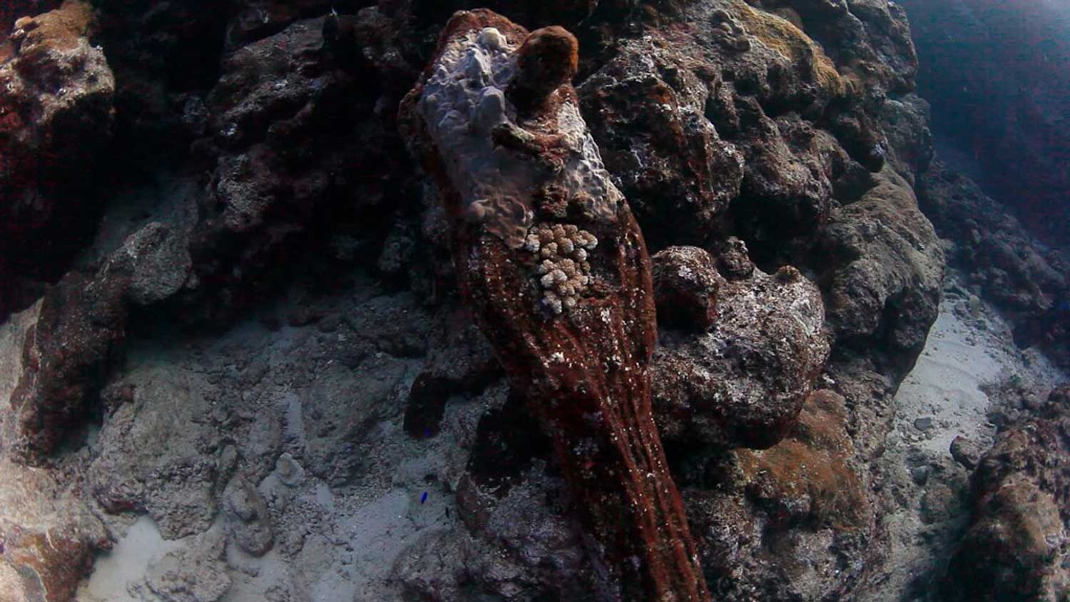Tongan wreck may be pirate treasure ship - ABC News