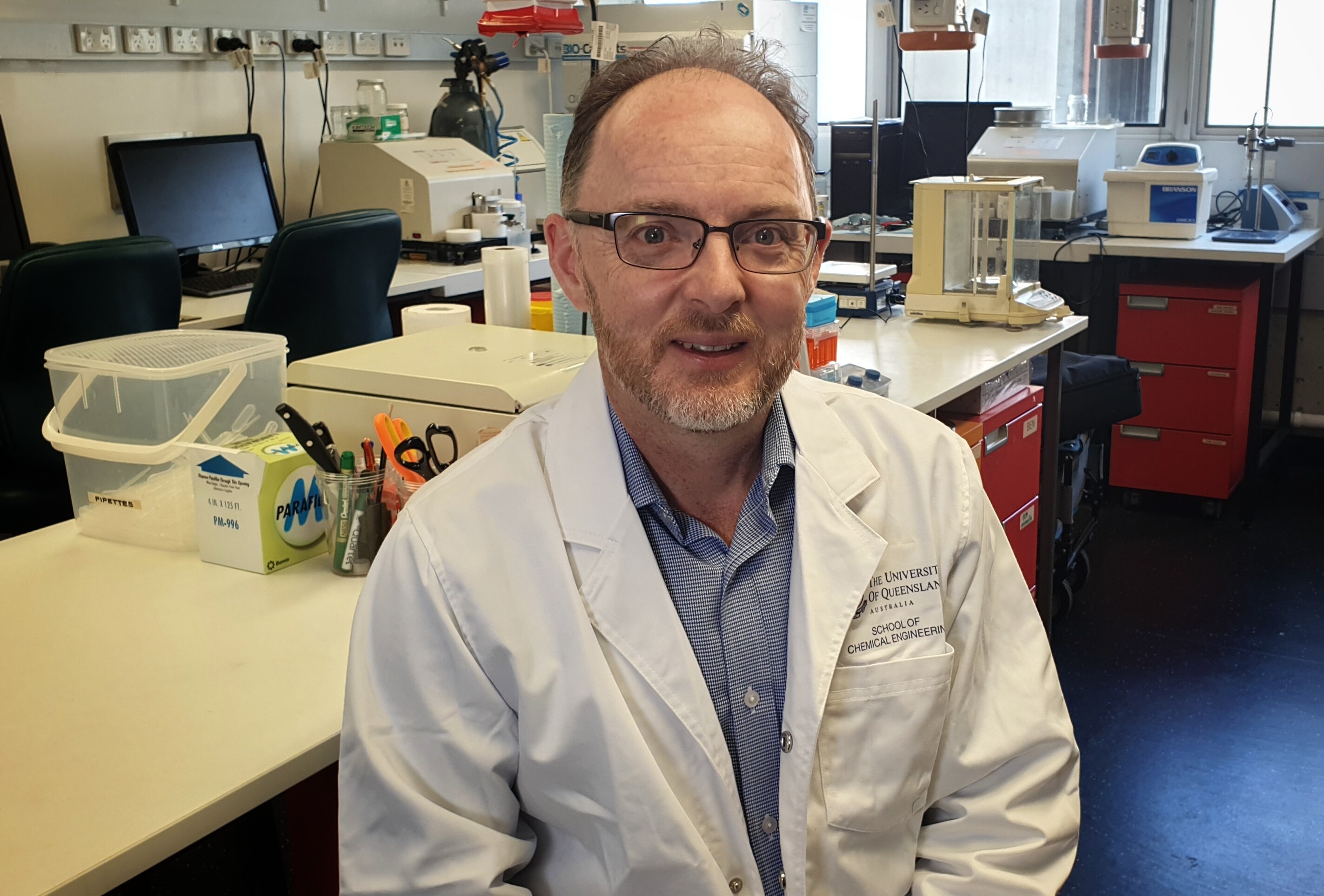 How can plant-based burgers be made to taste exactly like meat ...