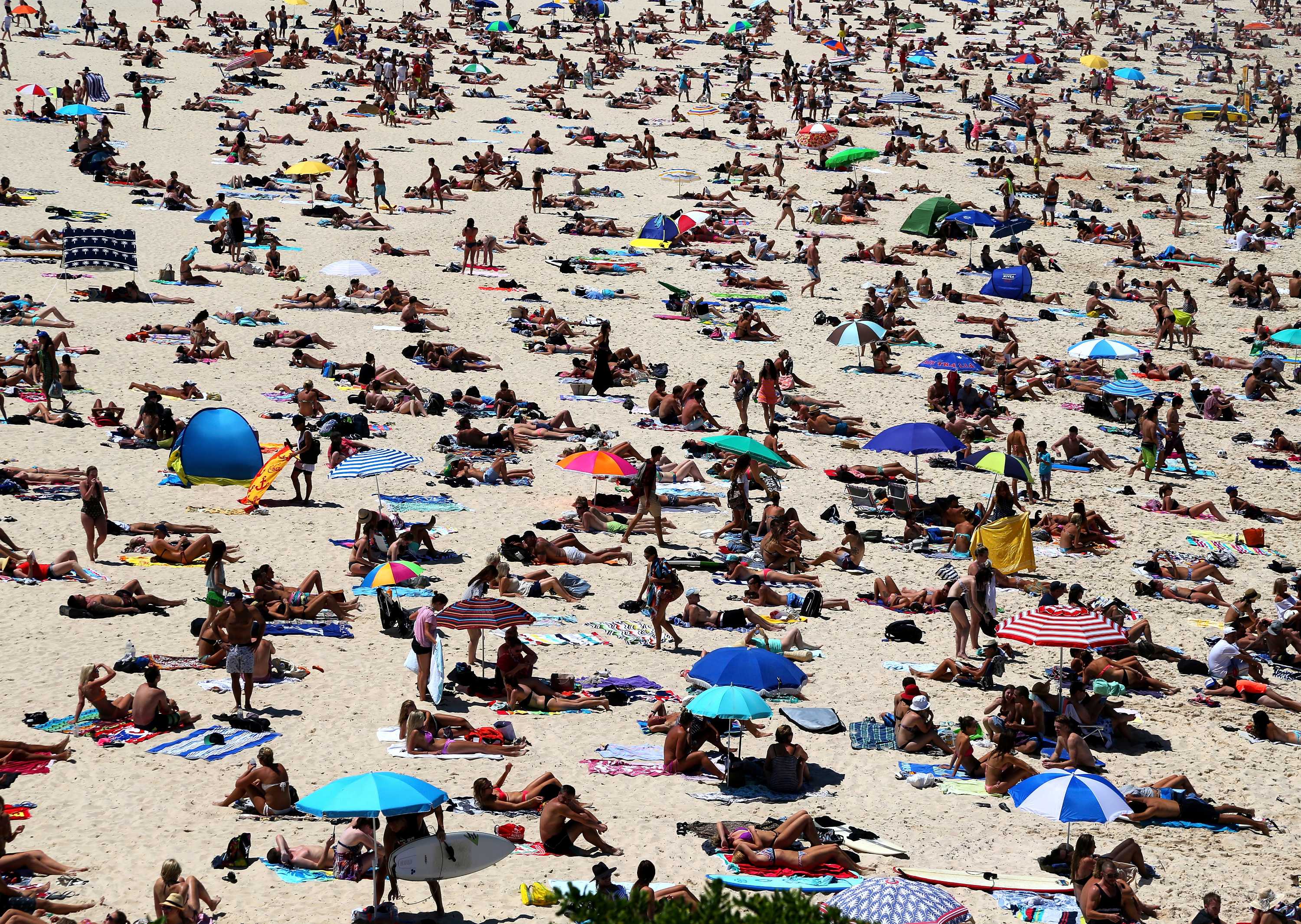 Hottest year on record, halfway to dangerous climate change - triple j