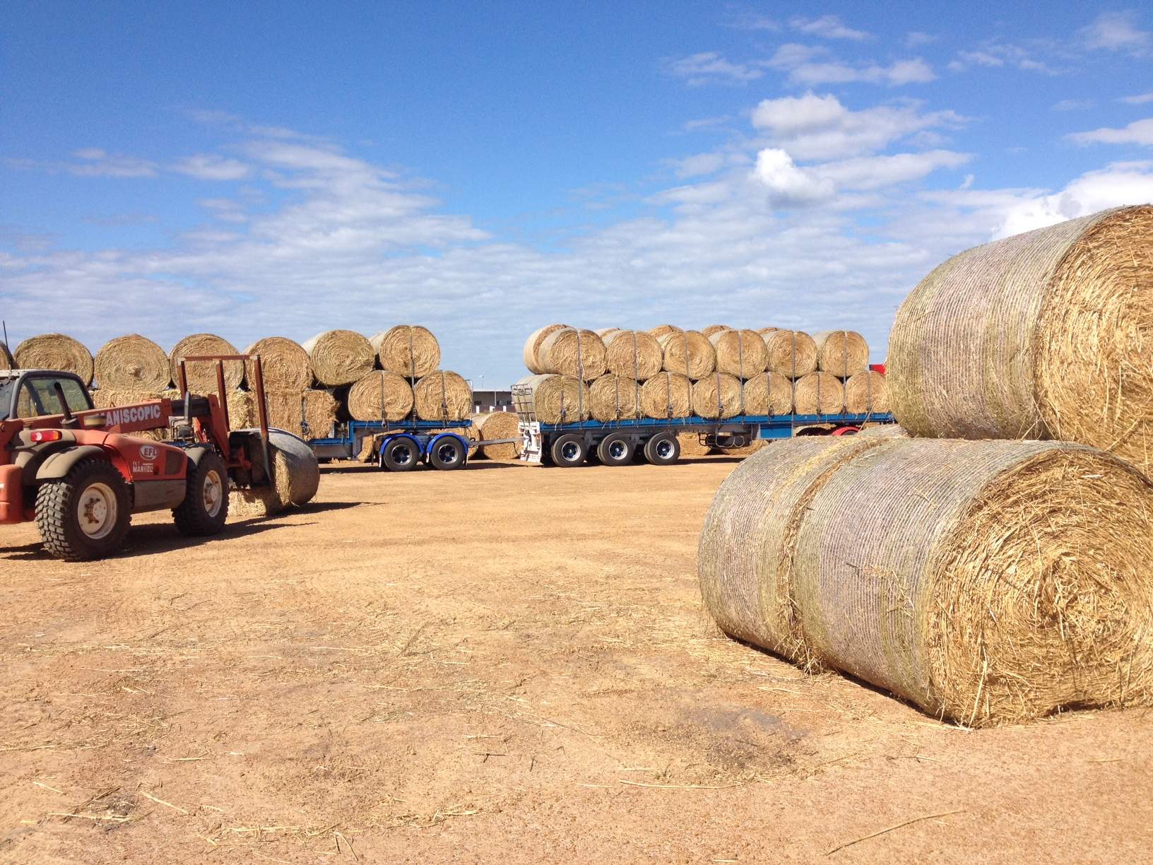 Overwhelming support for fodder drive in wake of bushfires in WA's ...
