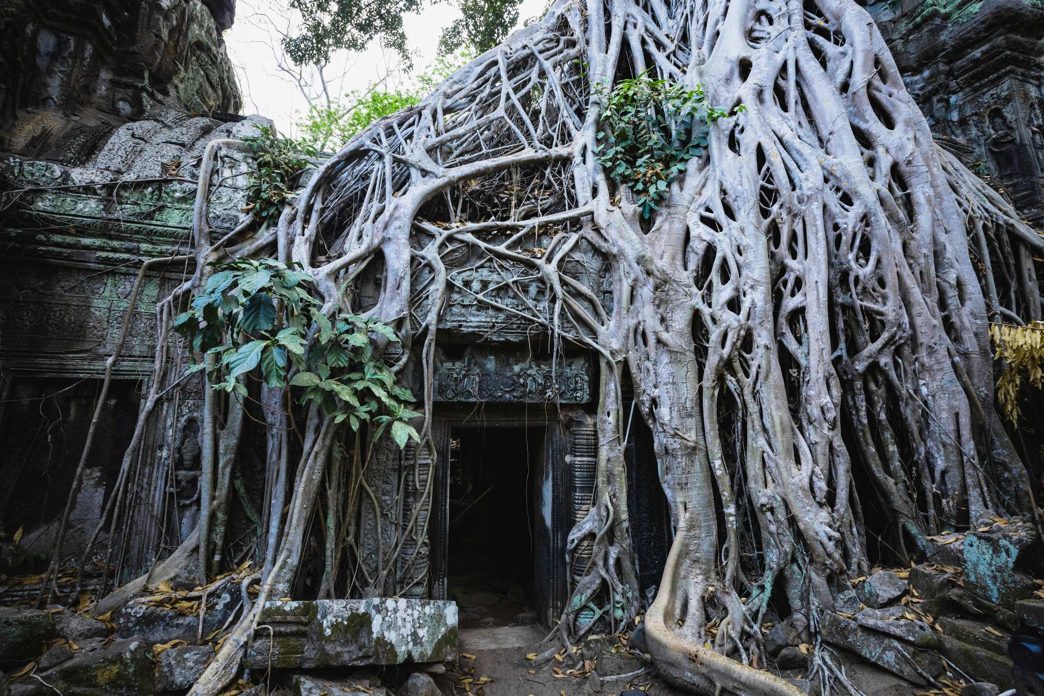 What can the Mayans teach us about building cities? - ABC listen