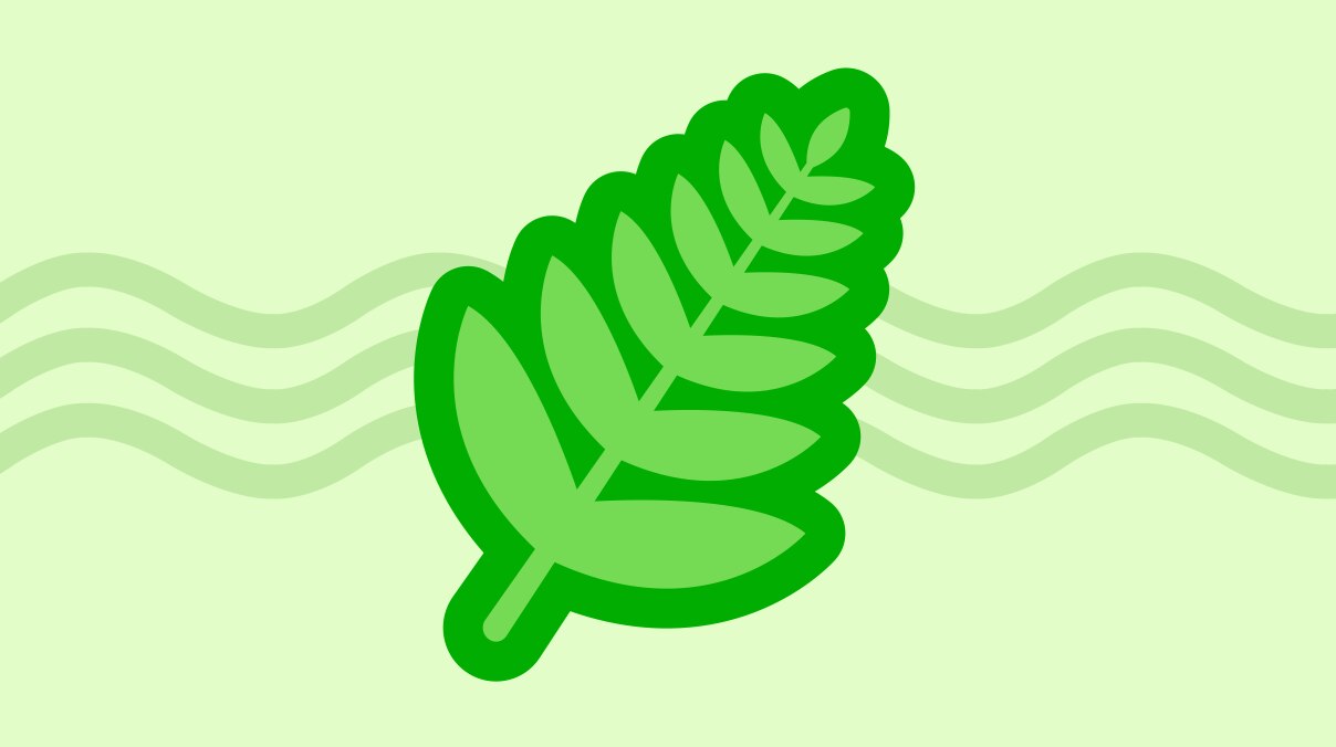 Forest - ABC Kids listen