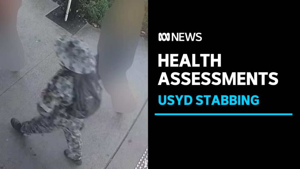 University attacker attended deradicalisation program before stabbing ...