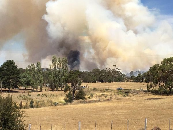 Home lost after out-of-control grassfire at Edgecombe in central ...