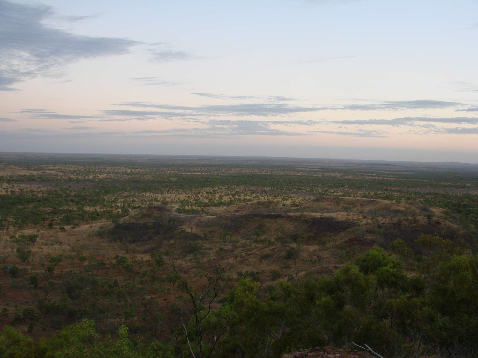 Victoria River Downs Station sets new record with 88 consecutive days ...