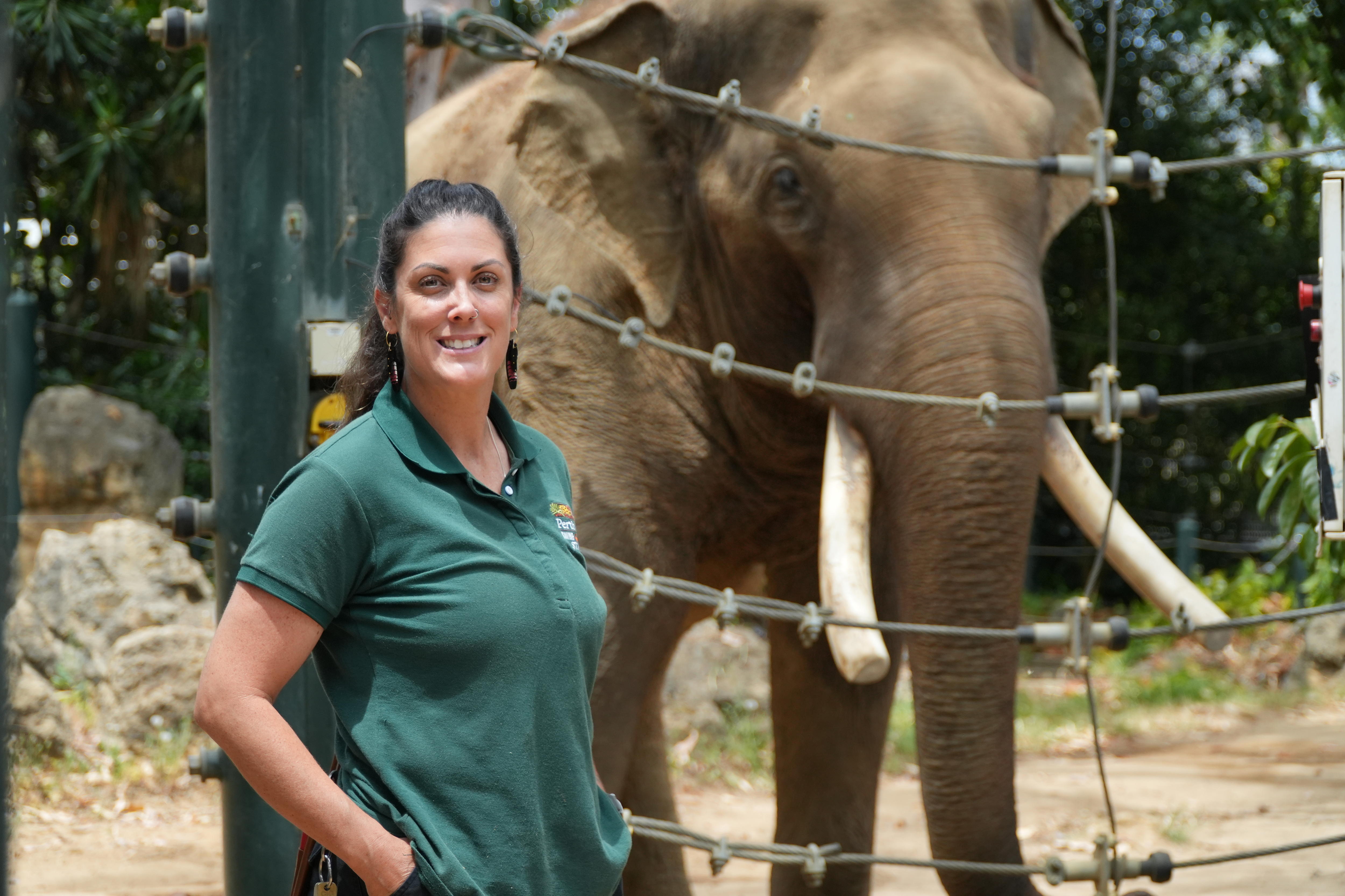 Perth Zoo says farewell to female elephant Permai, who is bound for ...