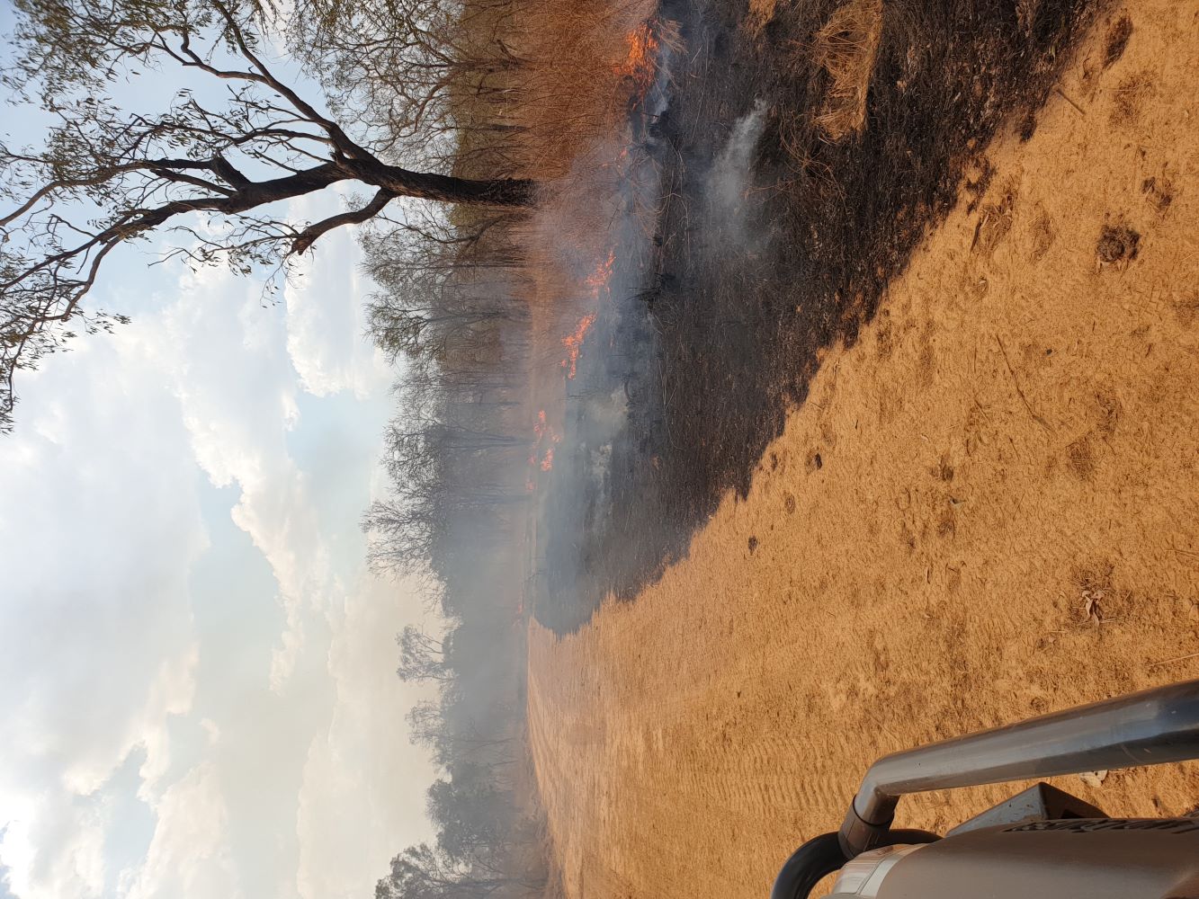 NT's Wongalara sanctuary protecting native wildlife using cool-burn ...