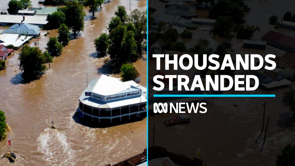 Thousands rescued or evacuated as NSW flood emergency continues - ABC News
