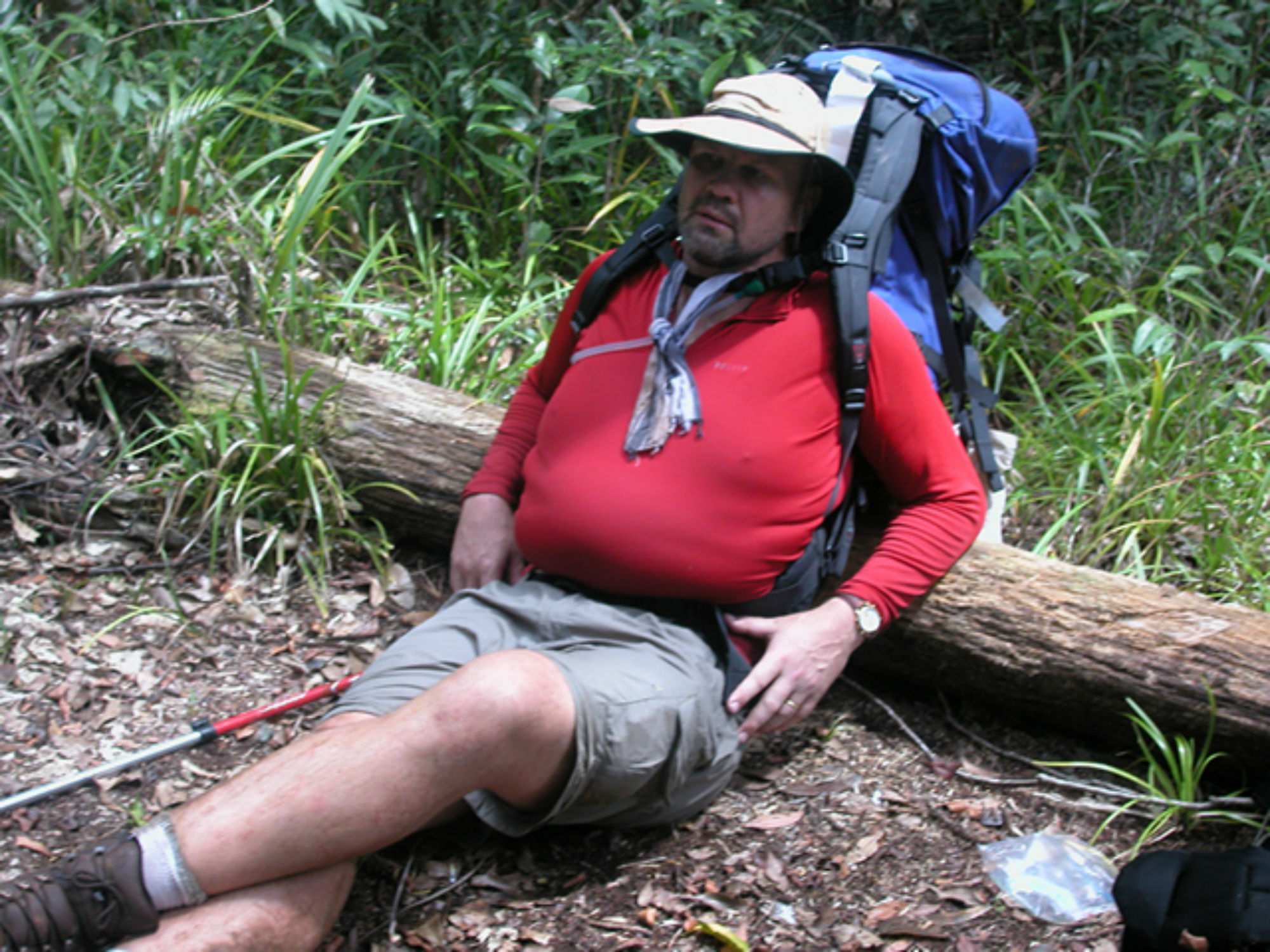 'Weigh yourself every day': The secrets of Peter FitzSimons' Great ...