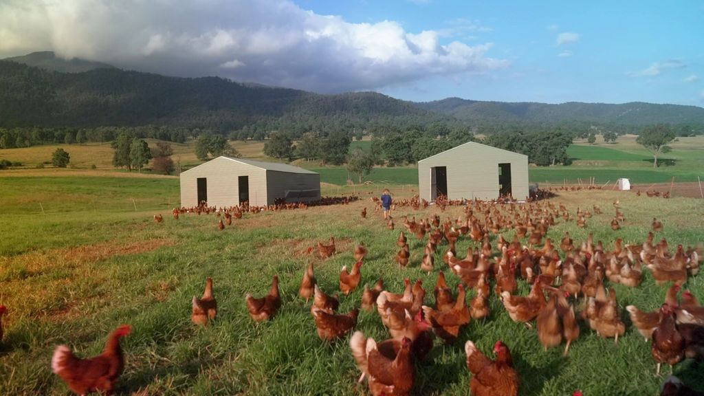 ABC Rural - ABC News