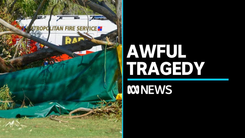 Friends remember woman killed by falling tree - ABC News