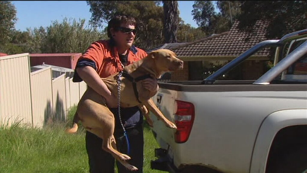 Koongamia - 6056 - Location - ABC News